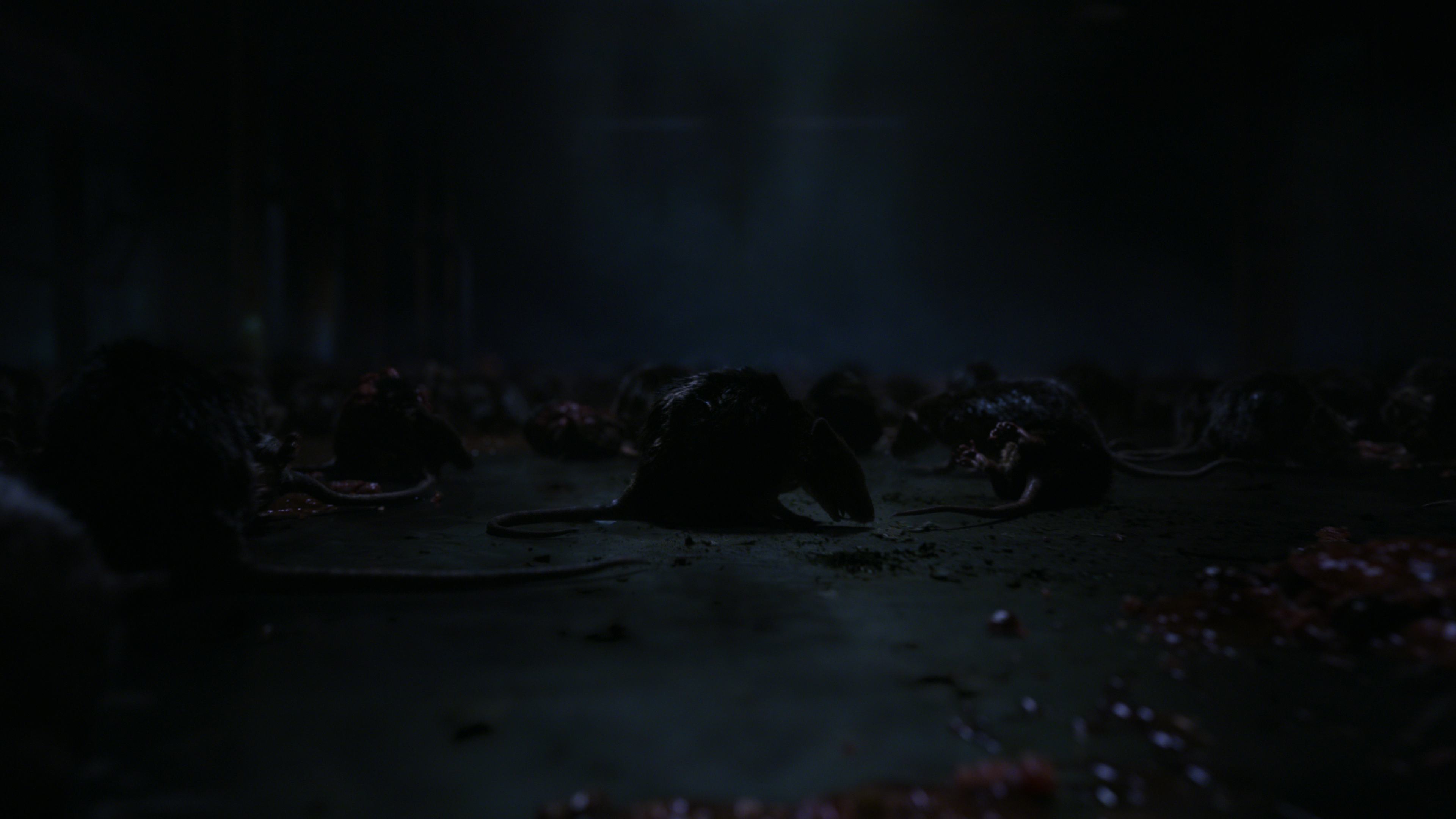 The scariest monster in Stranger Things 3 was almost too gross for Netflix