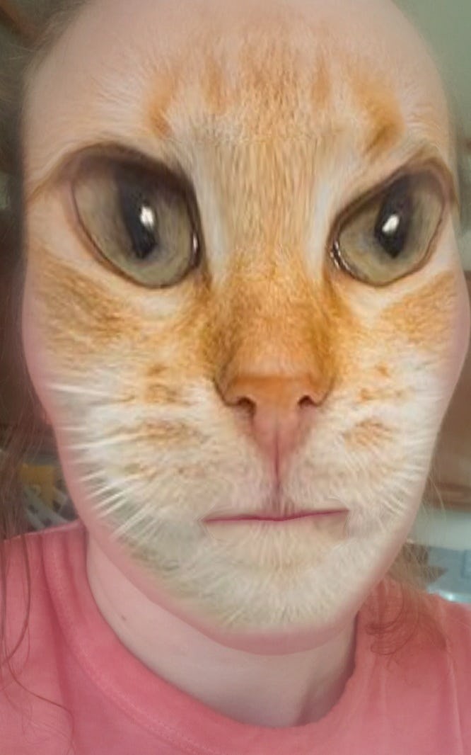 Get A Cat Face Filter On Snapchat That's Super Realistic