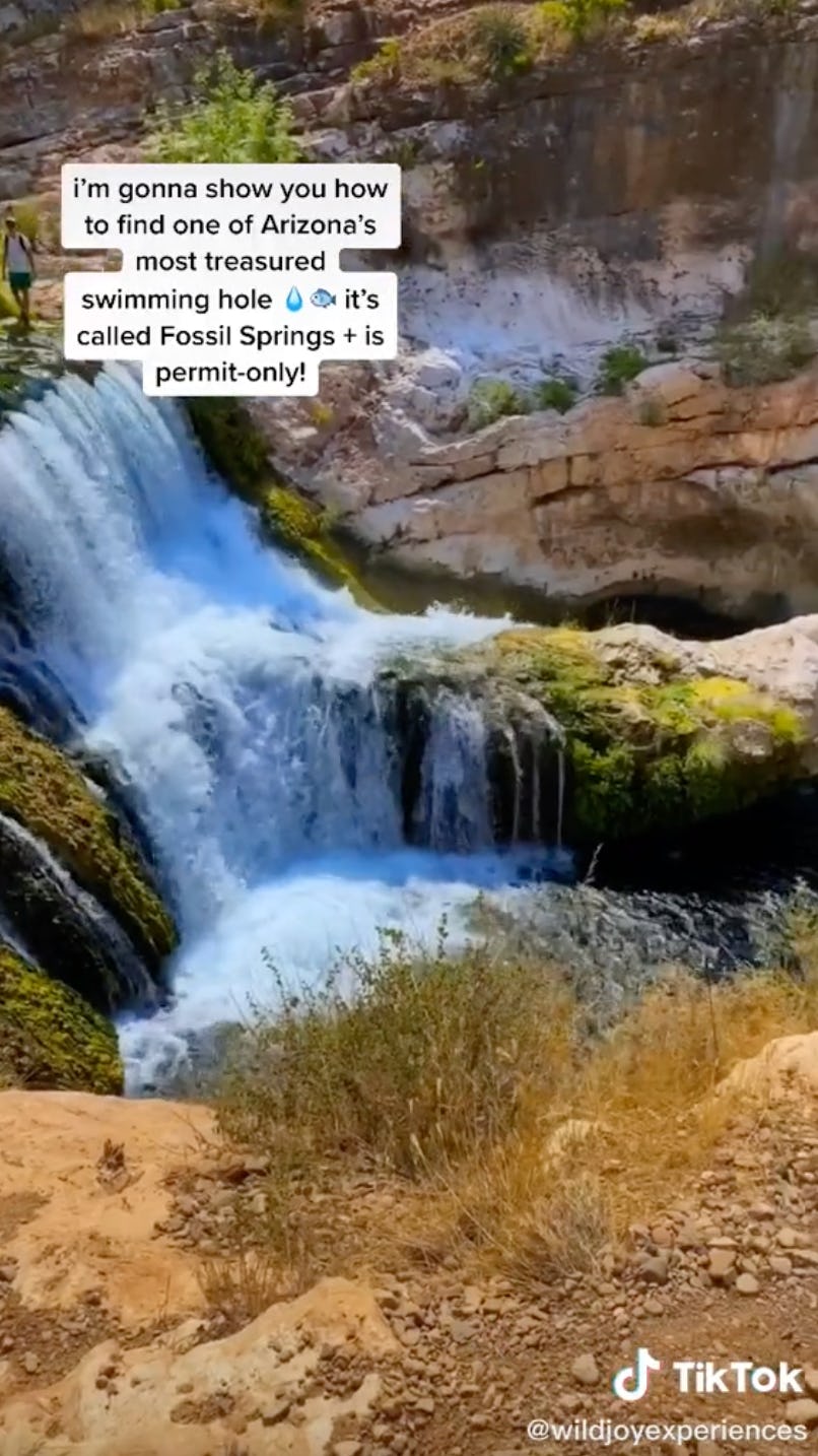 14 Viral “Hidden Gem” TikTok Videos For Great Recs