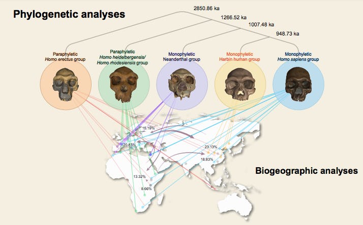 Dragon Man: Gargantuan cranium may reveal a new ancient human species