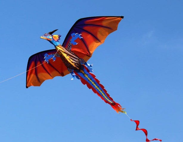 The 6 Best Beach Kites