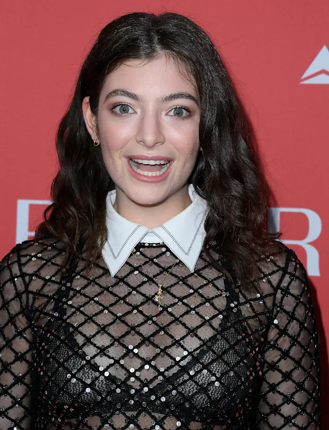 Lordes Solar Power Artwork Gets The Meme Treatment