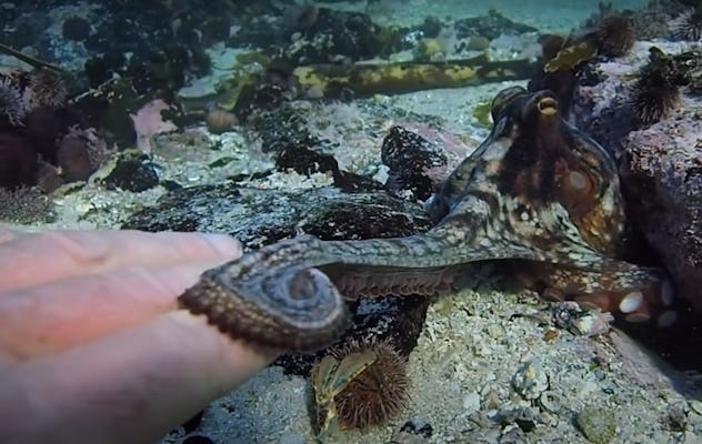 18 Top Netflix Documentaries To Watch To Make You Feel Smart