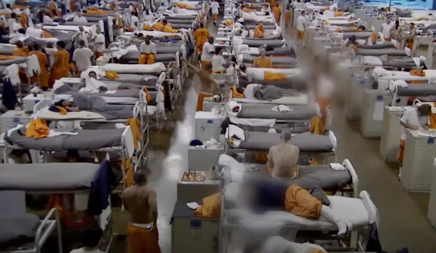 18 Top Netflix Documentaries To Watch To Make You Feel Smart