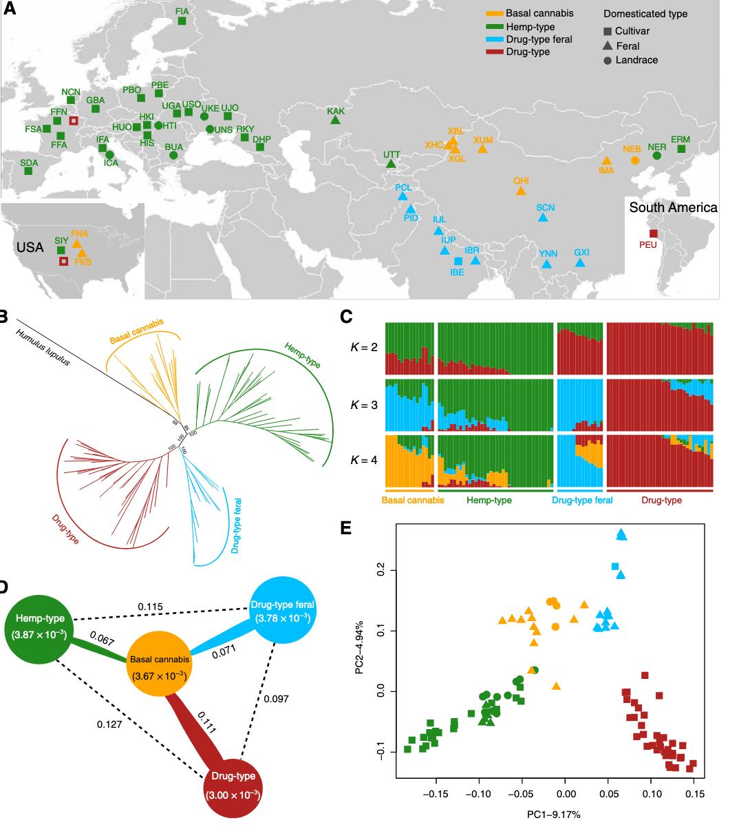 Scientists discover the ancient birthplace of marijuana