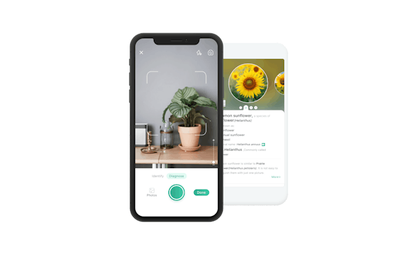 I’m no longer a plant killer after I started using the ‘PictureThis’ app