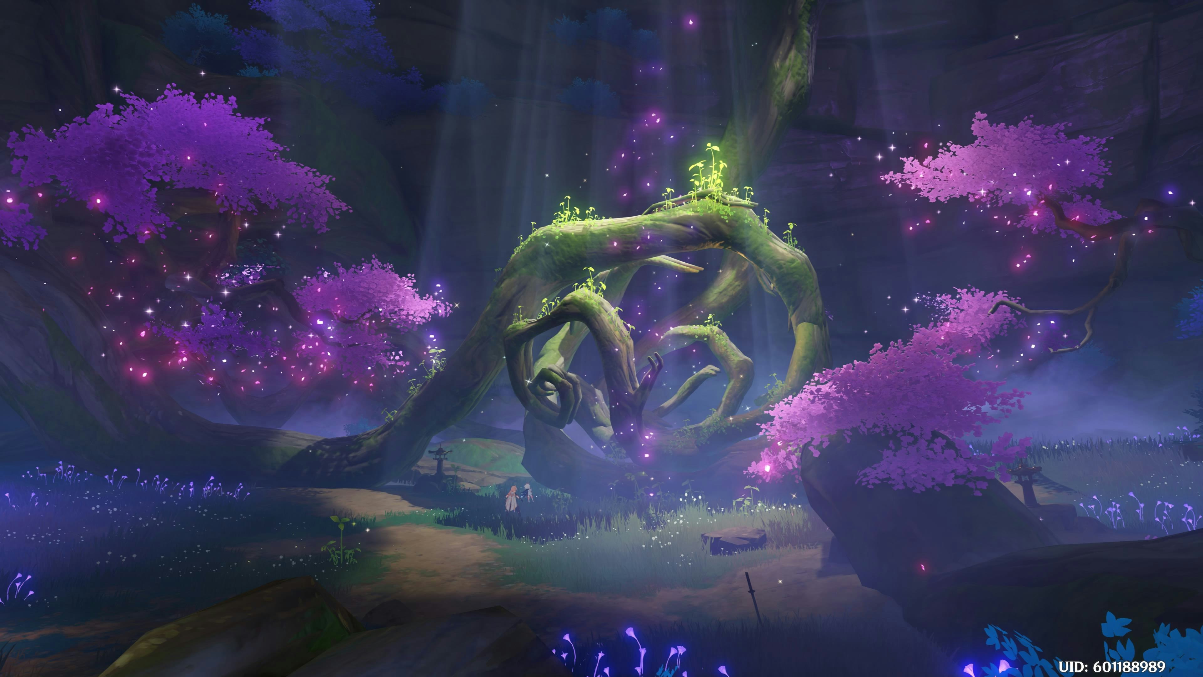 'Genshin Impact' Sakura Bloom locations: 4 places to farm in Inazuma