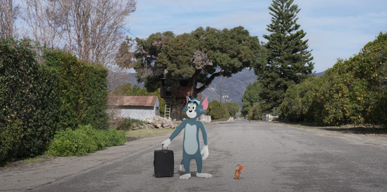 Best Cat Movies & Shows For Kids