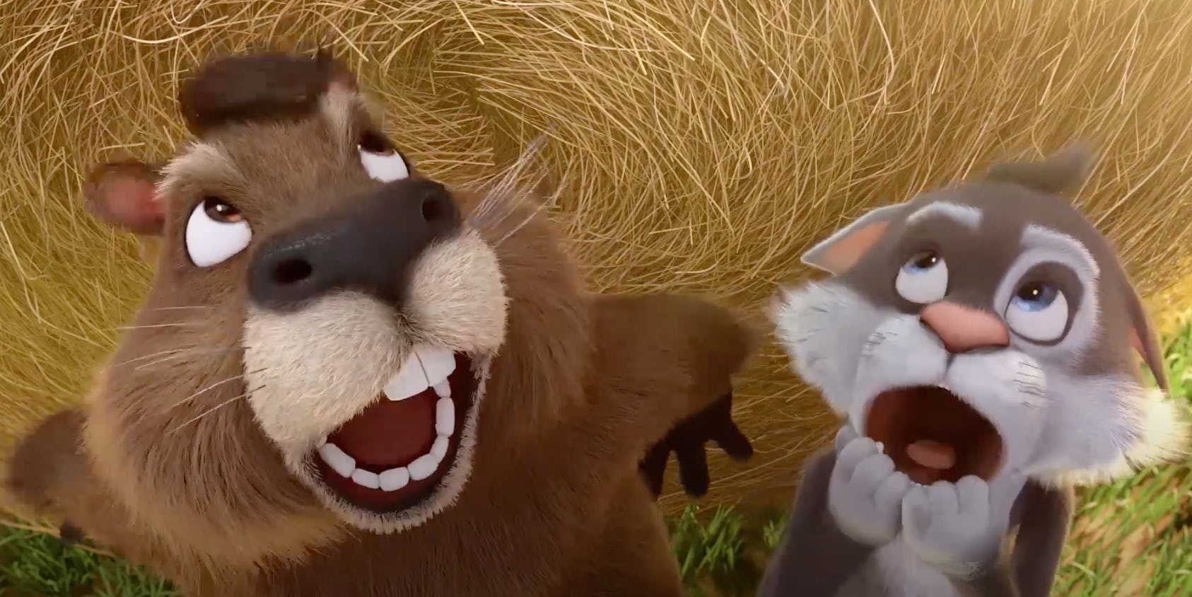 Best Cat Movies & Shows For Kids