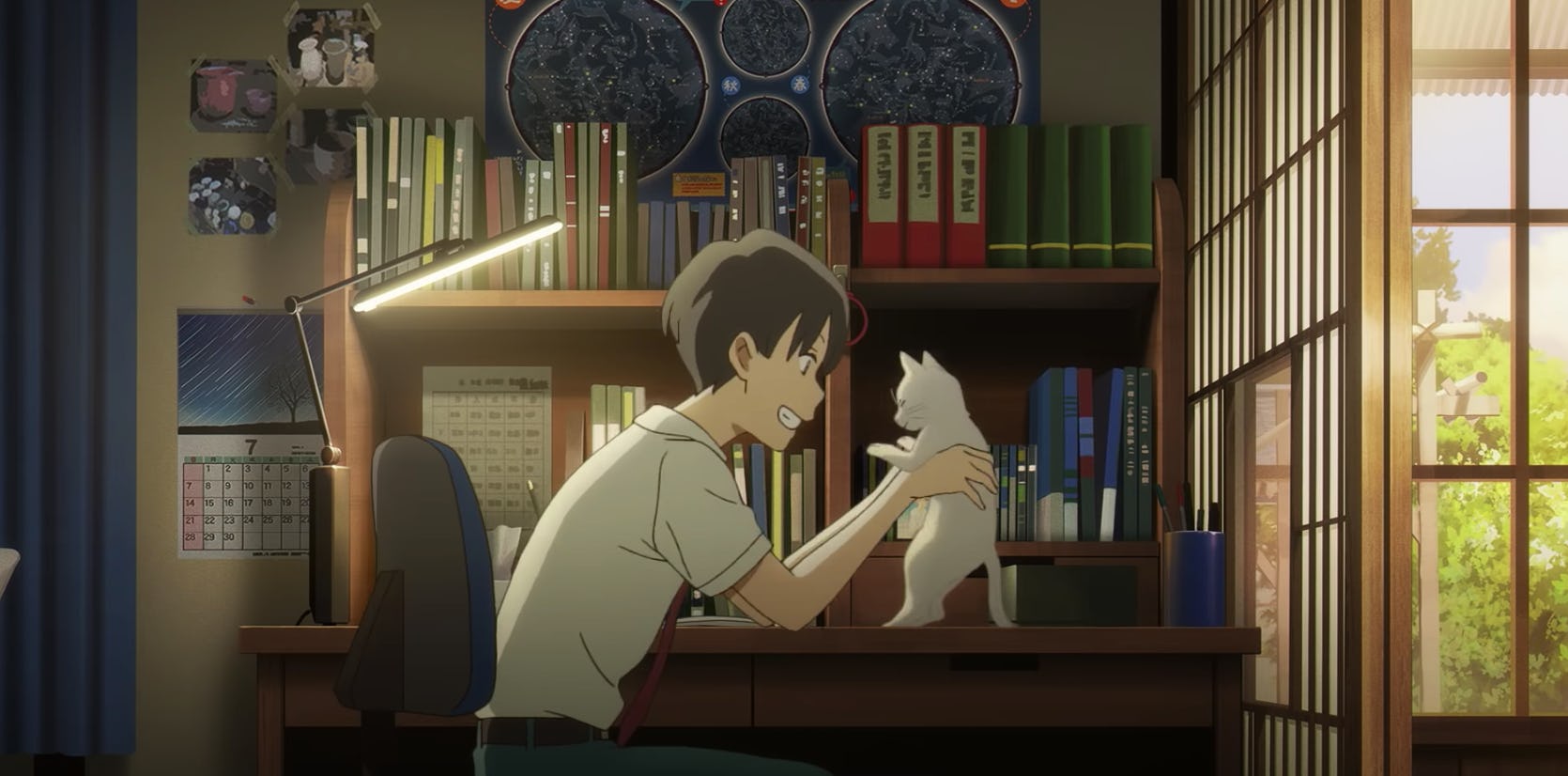 Best Cat Movies & Shows For Kids