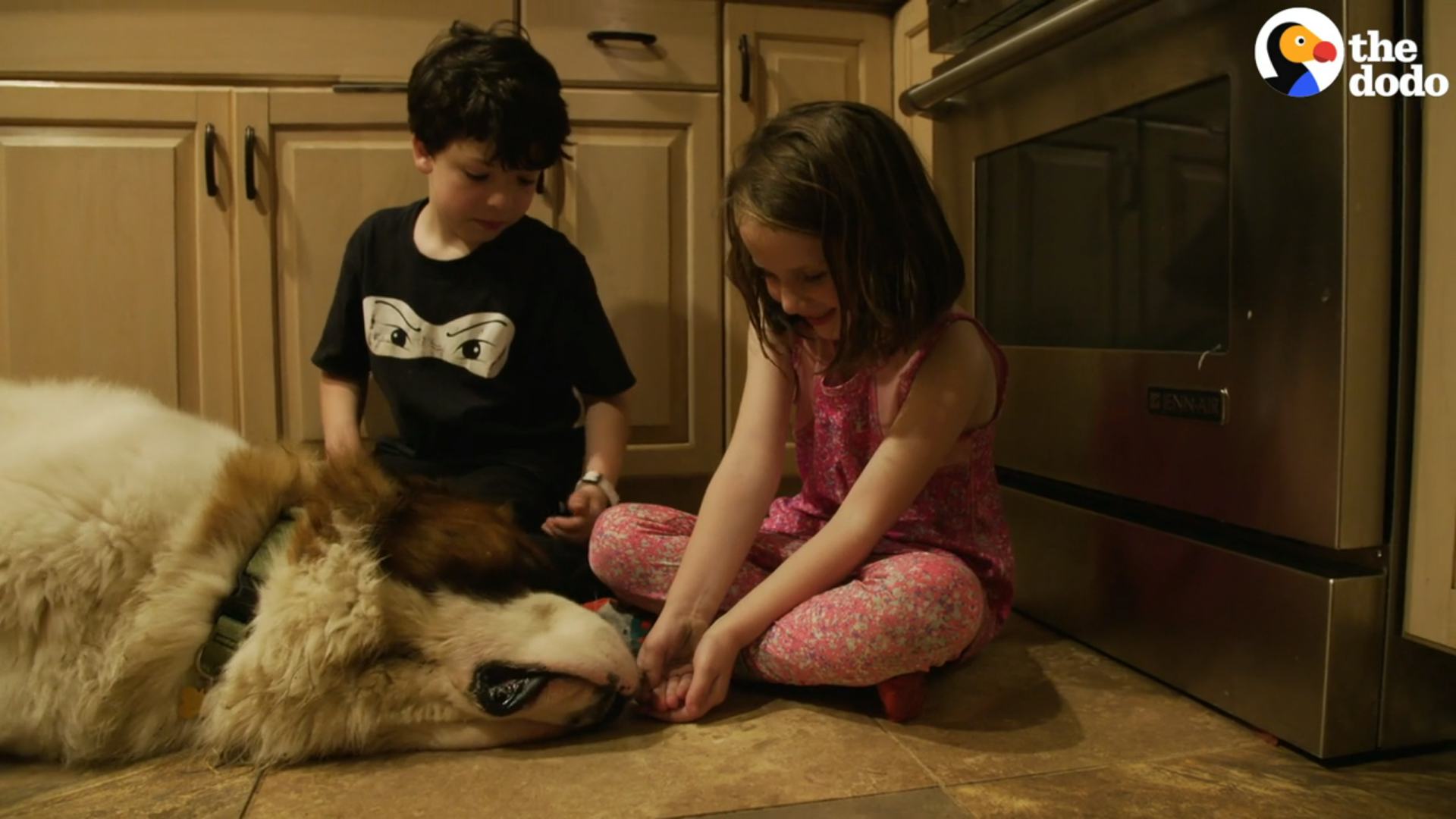 Best Dog Movies & Shows For Kids To Watch