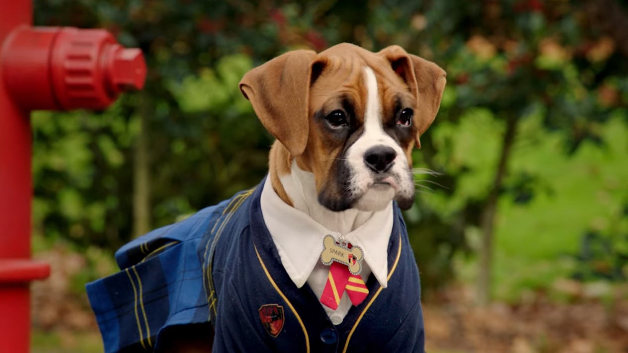 Best Dog Movies & Shows For Kids To Watch