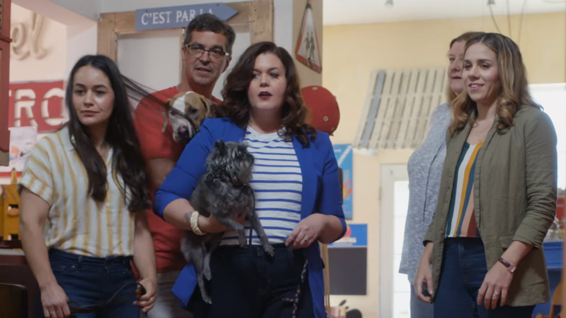 Best Dog Movies & Shows For Kids To Watch