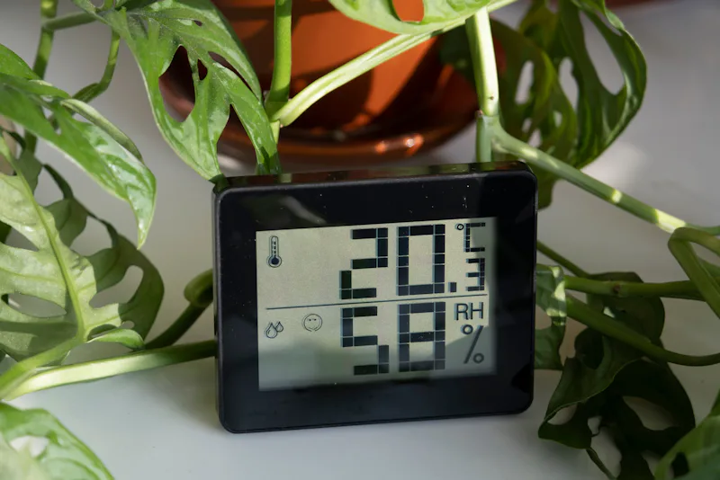 The 4 Best Hygrometers