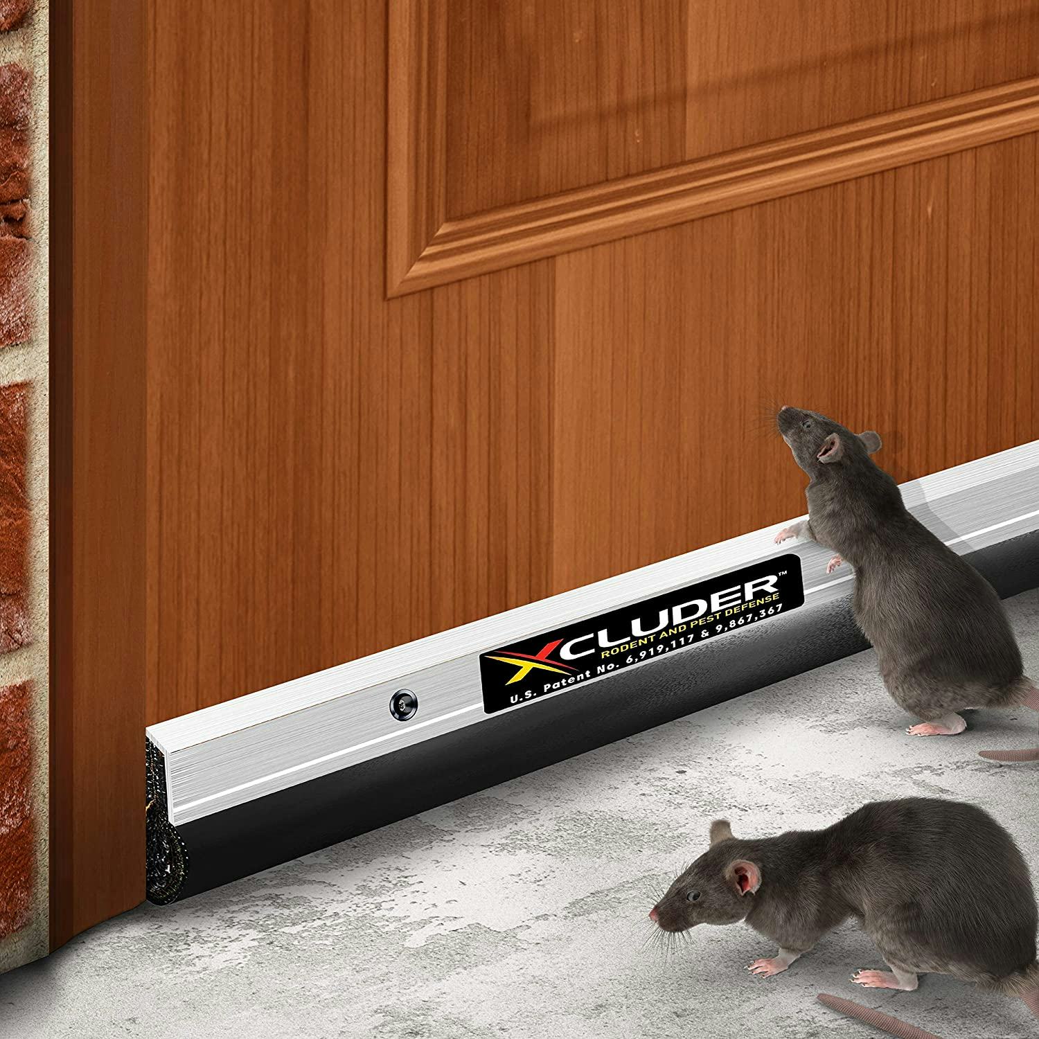 The 6 Best Door Sweeps