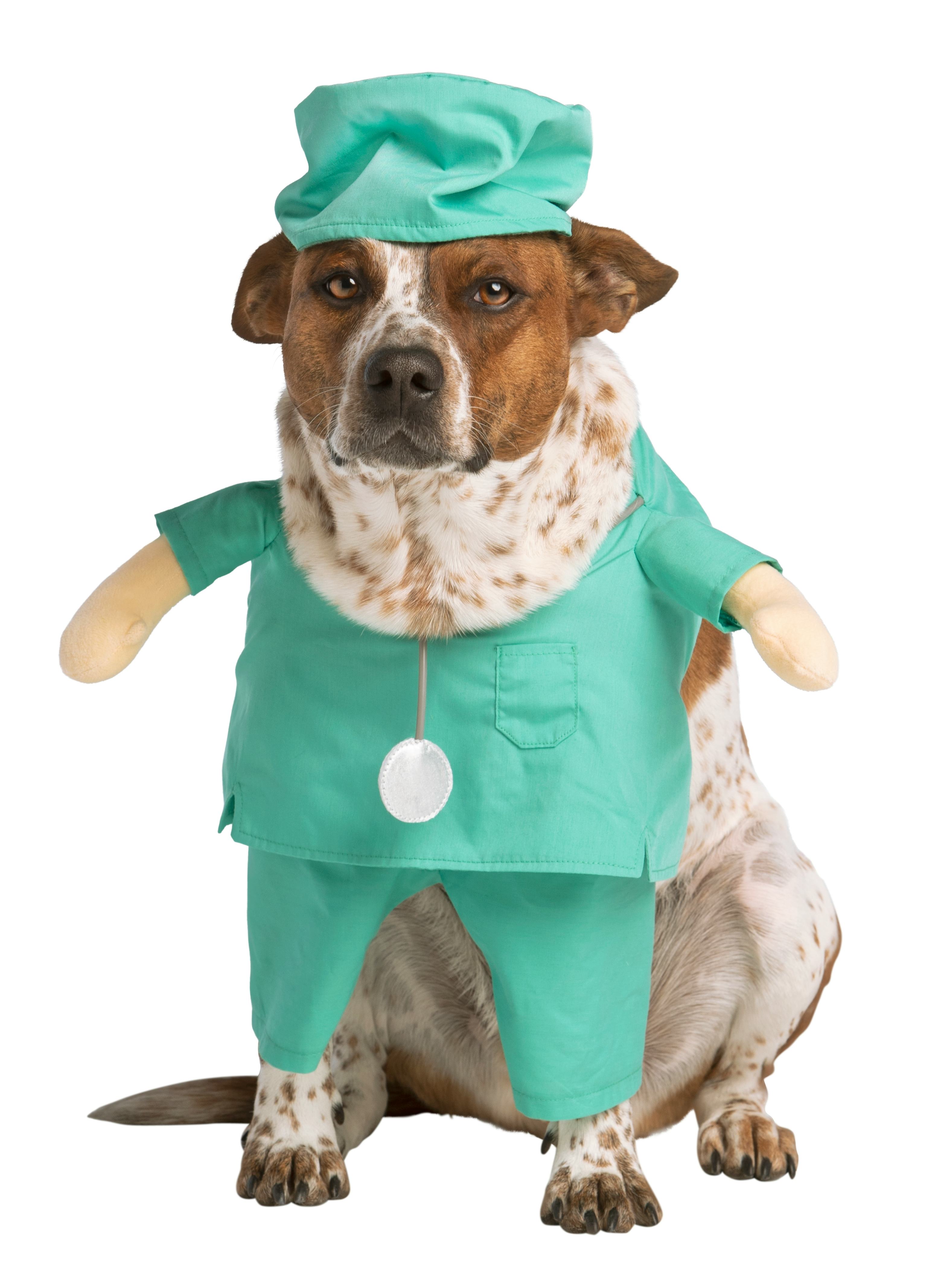 PetSmart's New 2021 Halloween Costumes For Dogs, Cats, & Guinea Pigs