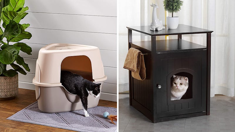 The 8 Best Cat Litter Boxes For Small Spaces In 2022
