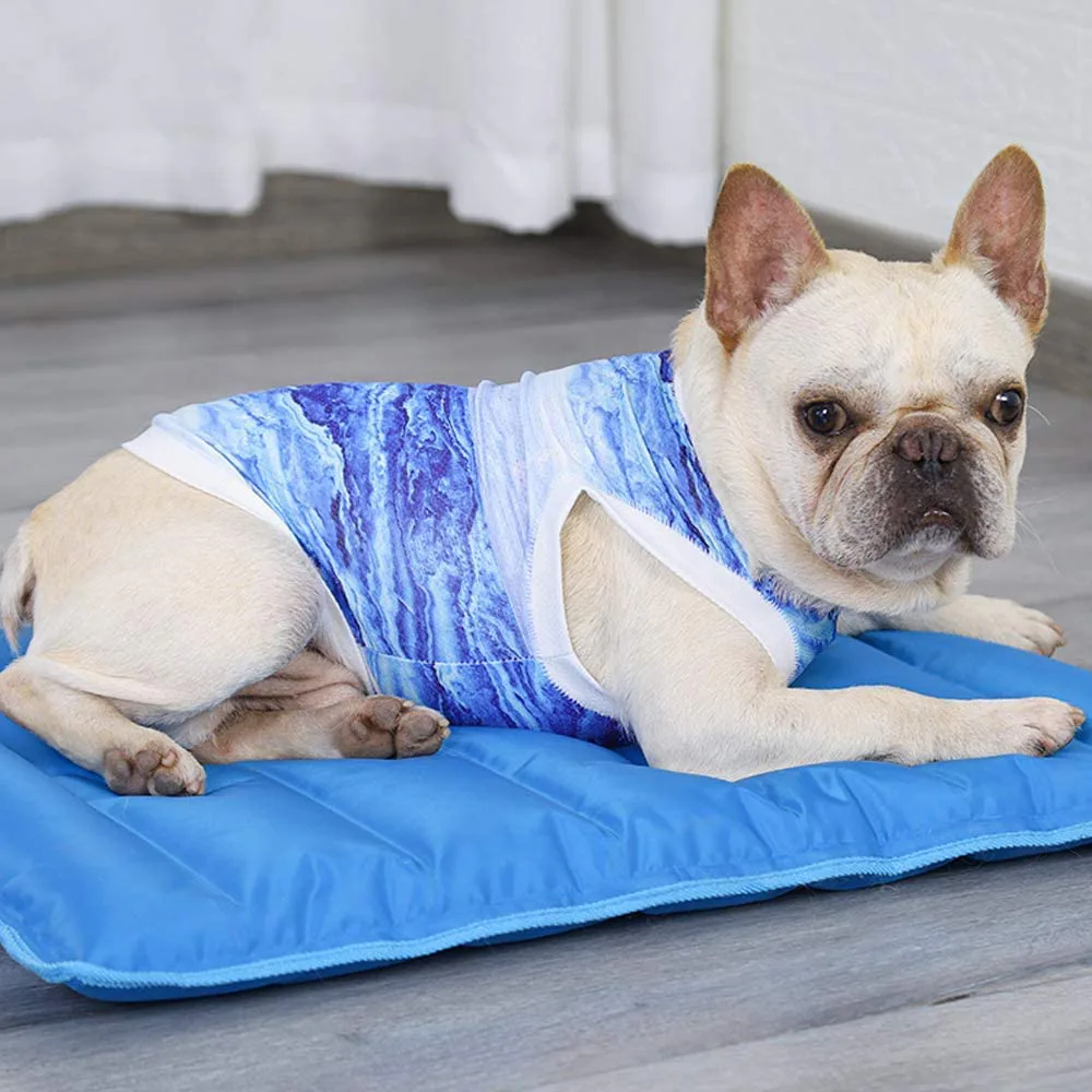 The 13 Best Cooling Vests For Dogs In 2022