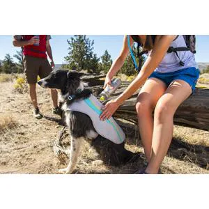 The 13 Best Cooling Vests For Dogs In 2022