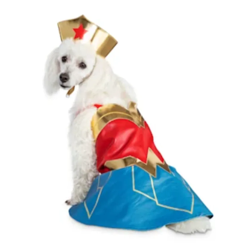 Petco's 2021 Halloween Costumes Will Have Your Pet Ready To Pawty