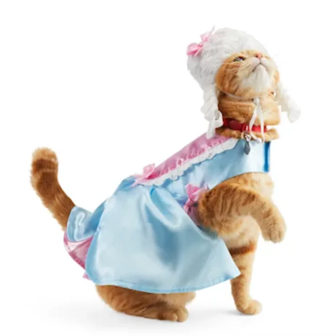 Petco's 2021 Halloween Costumes Will Have Your Pet Ready To Pawty