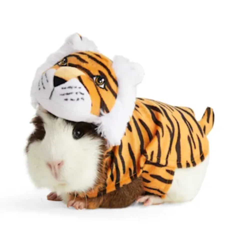 Petco's 2021 Halloween Costumes Will Have Your Pet Ready To Pawty