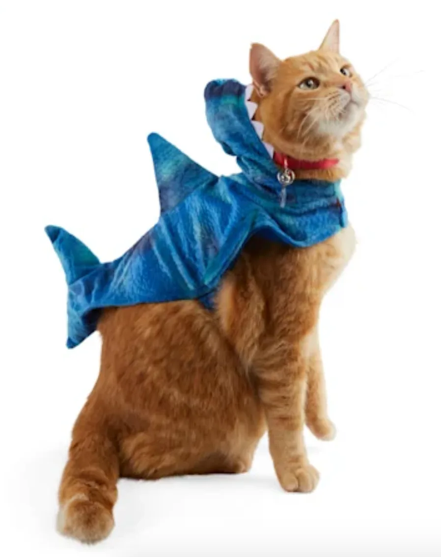 Petco's 2021 Halloween Costumes Will Have Your Pet Ready To Pawty