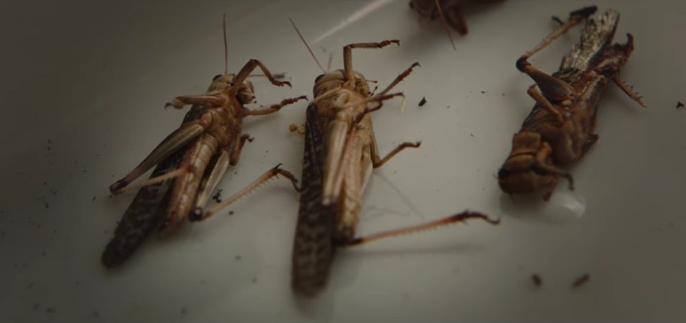 Netflix’s bloodiest sci-fi thriller of 2021 reveals a real-life monster