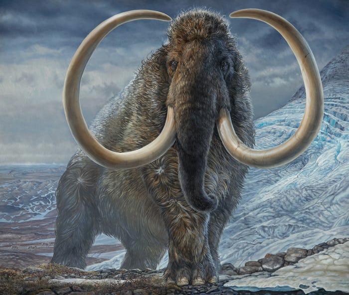 Look: Ancient tusk gives an unprecedented glance into lives of arctic ...