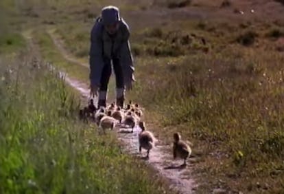 Best Fall Movies For Families To Watch Together