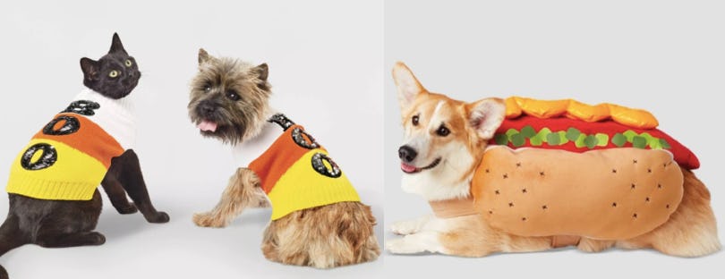 Target's Halloween 2021 Pet Costumes & Toys Include Festive Sweaters