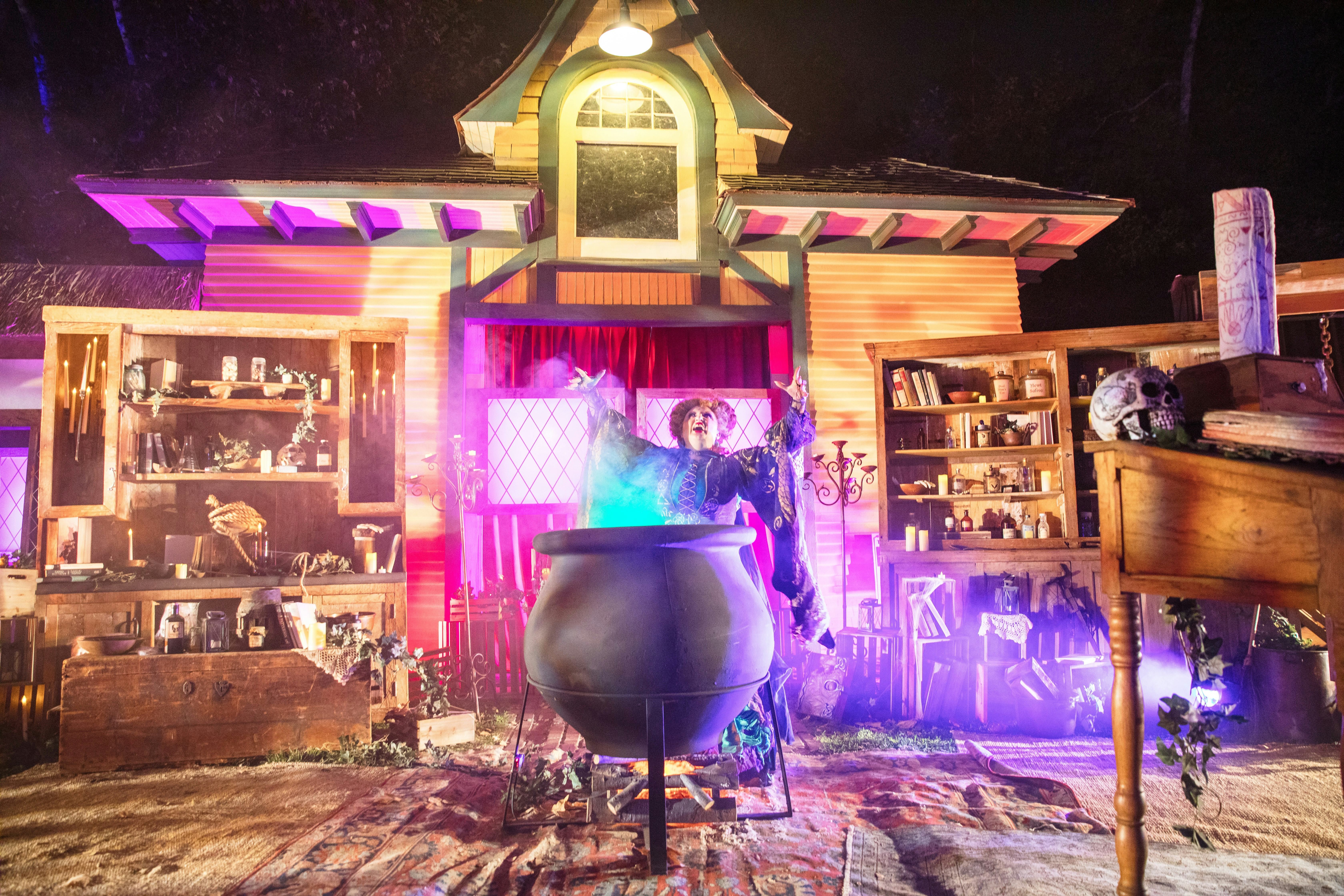 Freeform's 2021 Halloween Road Includes Wicked Good 'Hocus Pocus' Photo ...