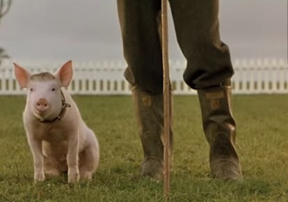 Best Farm Movies For Kids