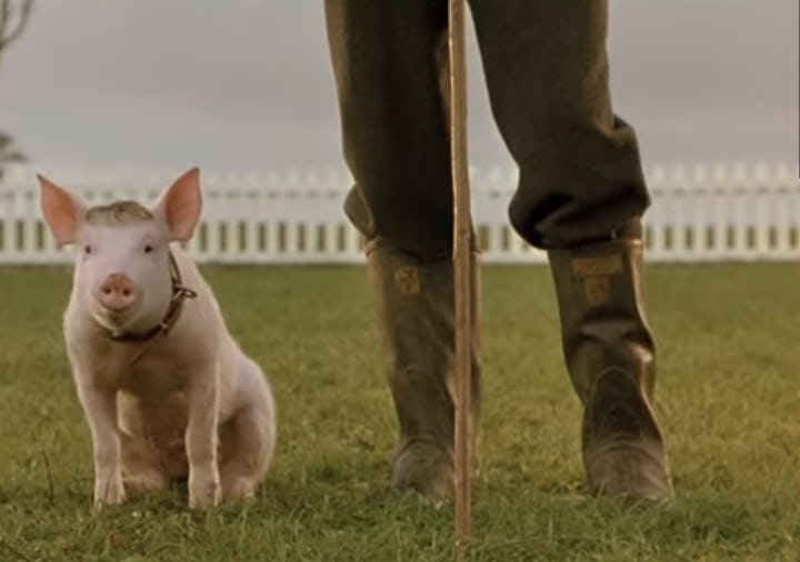 Best Farm Movies For Kids