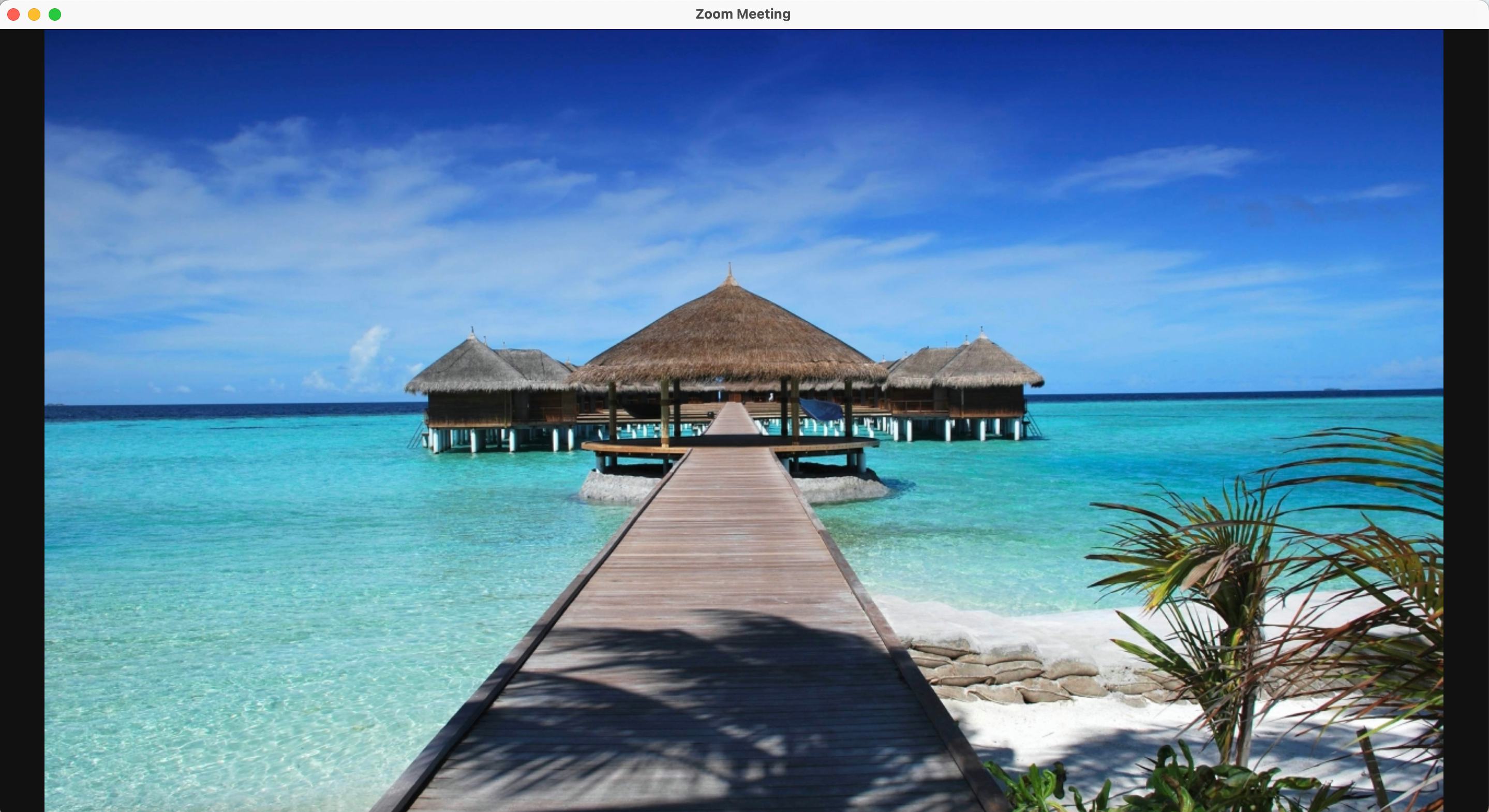 17 Beach Zoom Backgrounds That Will Make You Feel Like You’re On Vacation