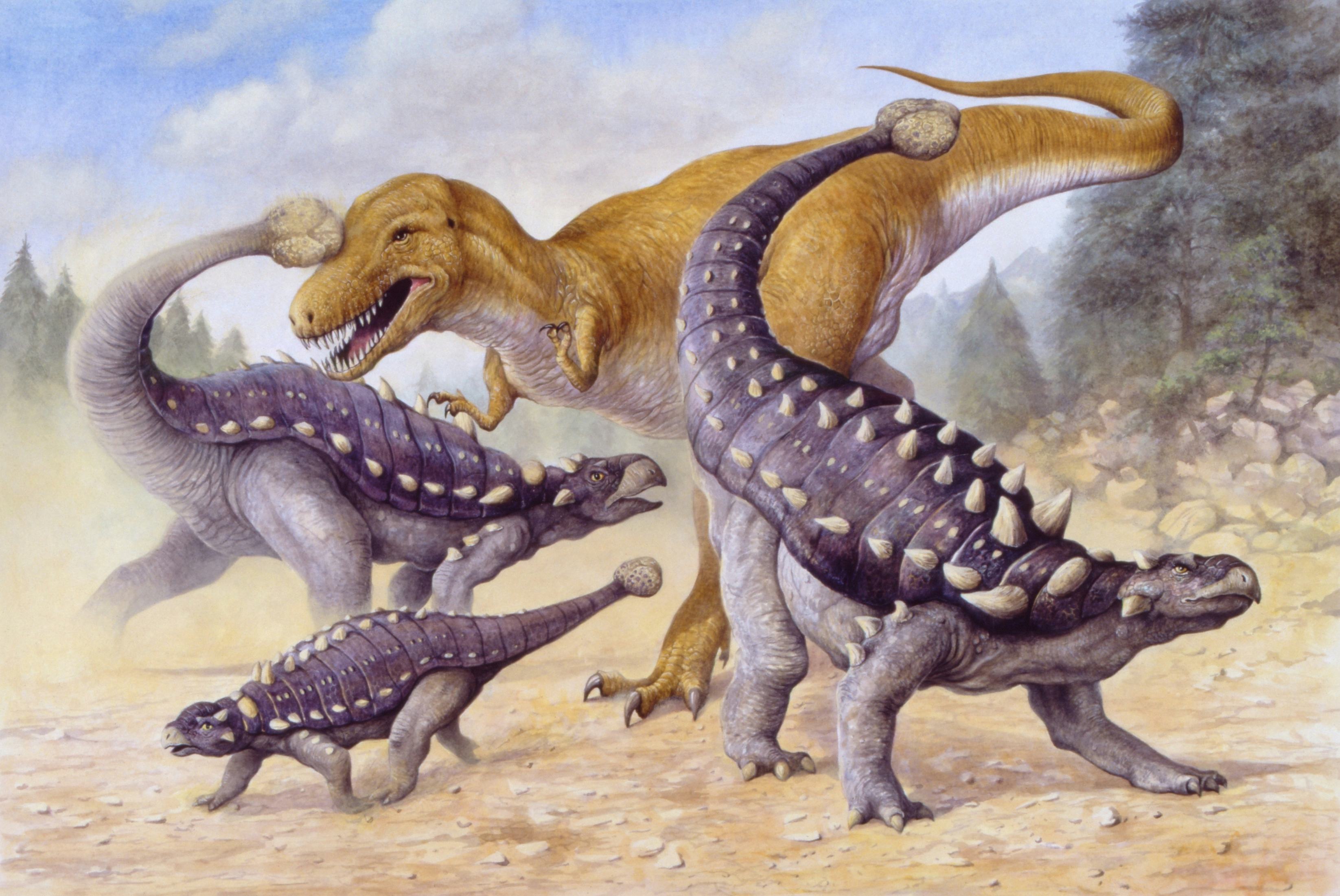 Oldest fossil discovery of “bizarre dinosaur” reveals armor fused to bones