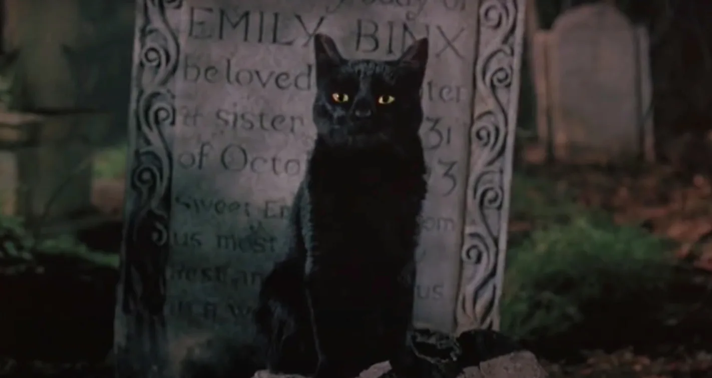 21 ‘Hocus Pocus’ Zoom Backgrounds To Bewitch Your Calls