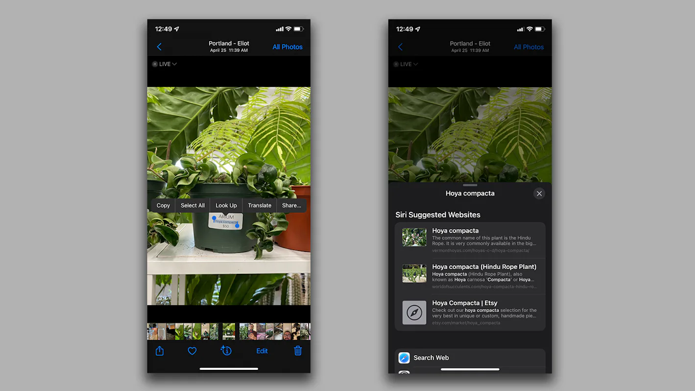 How to use Live Text in iOS 15