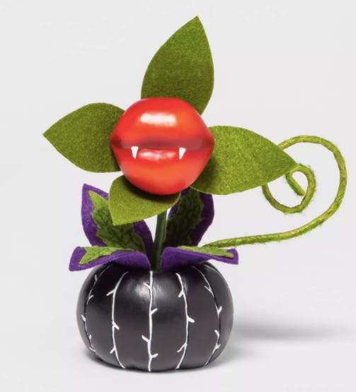 Target's Halloween Succulents For 2021 Feature Spooky New Plants