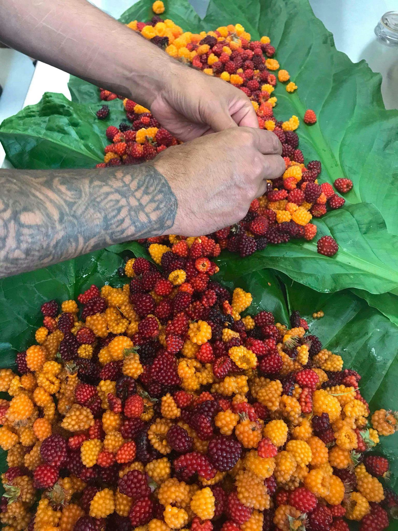 Virtual Cookbook 'A Gathering Basket' Shares Indigenous Recipes Through ...