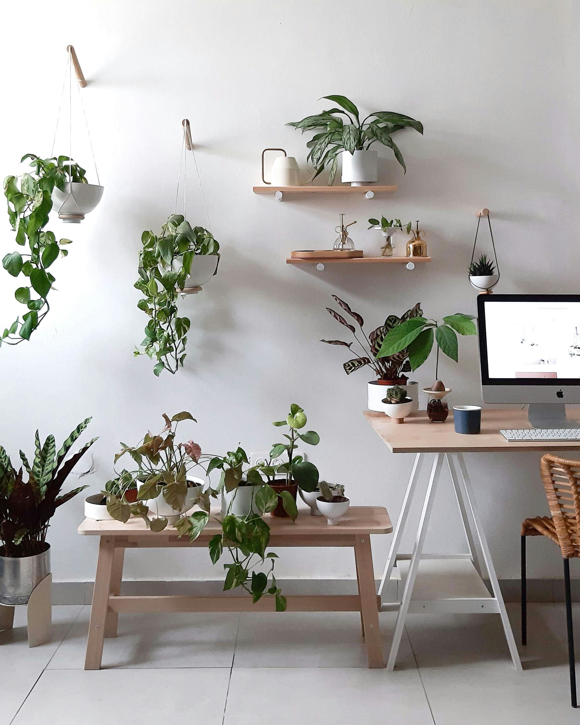 How To Use Plants As Art In Your Home, According To Experts