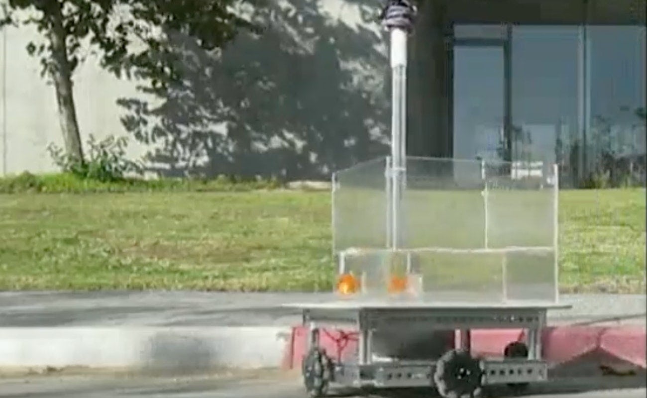 Watch this goldfish drive a vehicle on land to get a treat