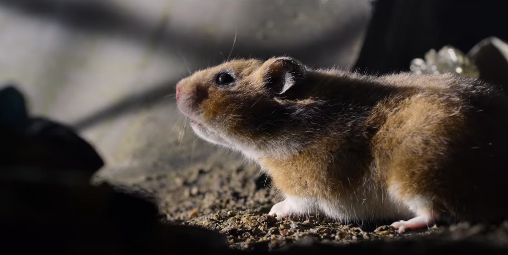 30 Great Science Shows For Kids