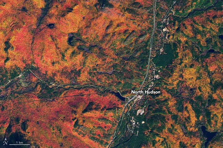 NASA Photos of Fall Foliage Show View Of Fall Colors From Outer Space