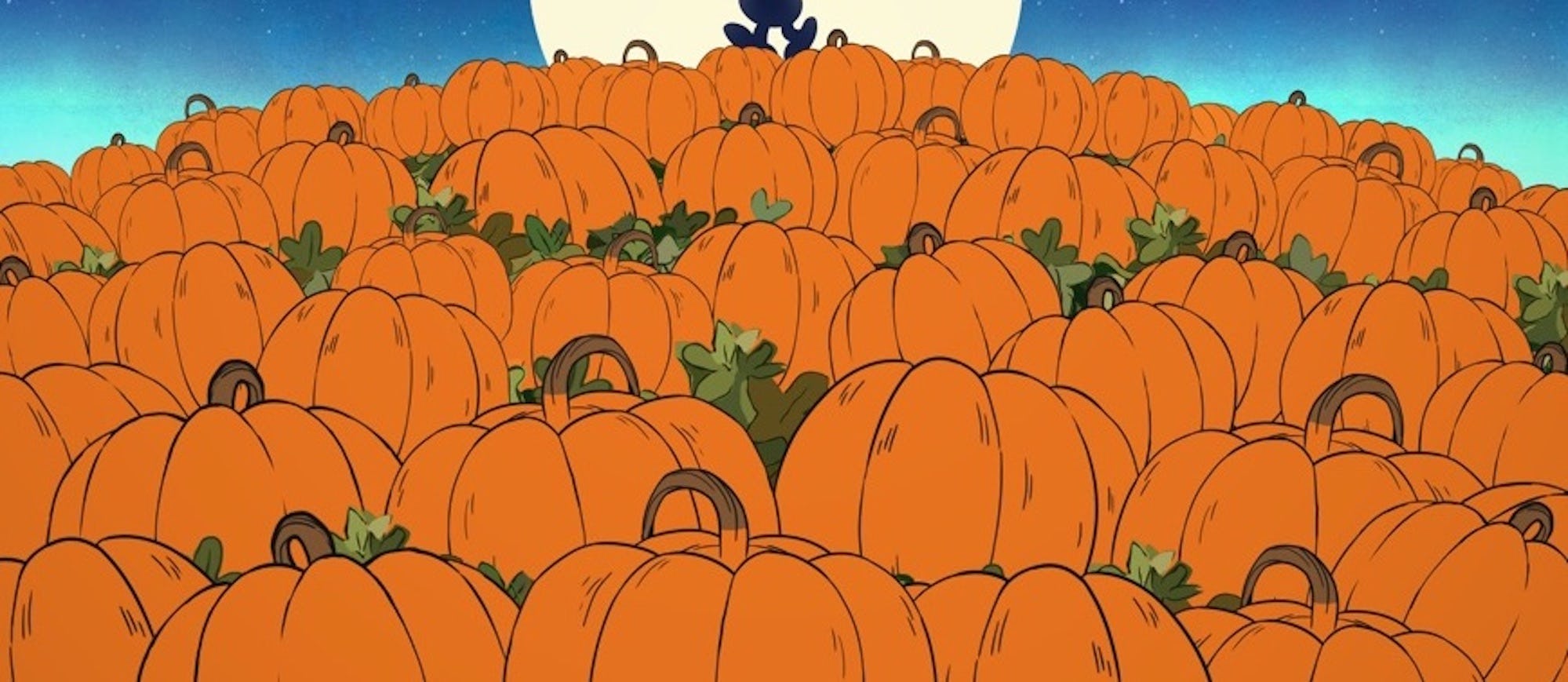 Charlie Brown Pumpkin Patch Wallpaper
