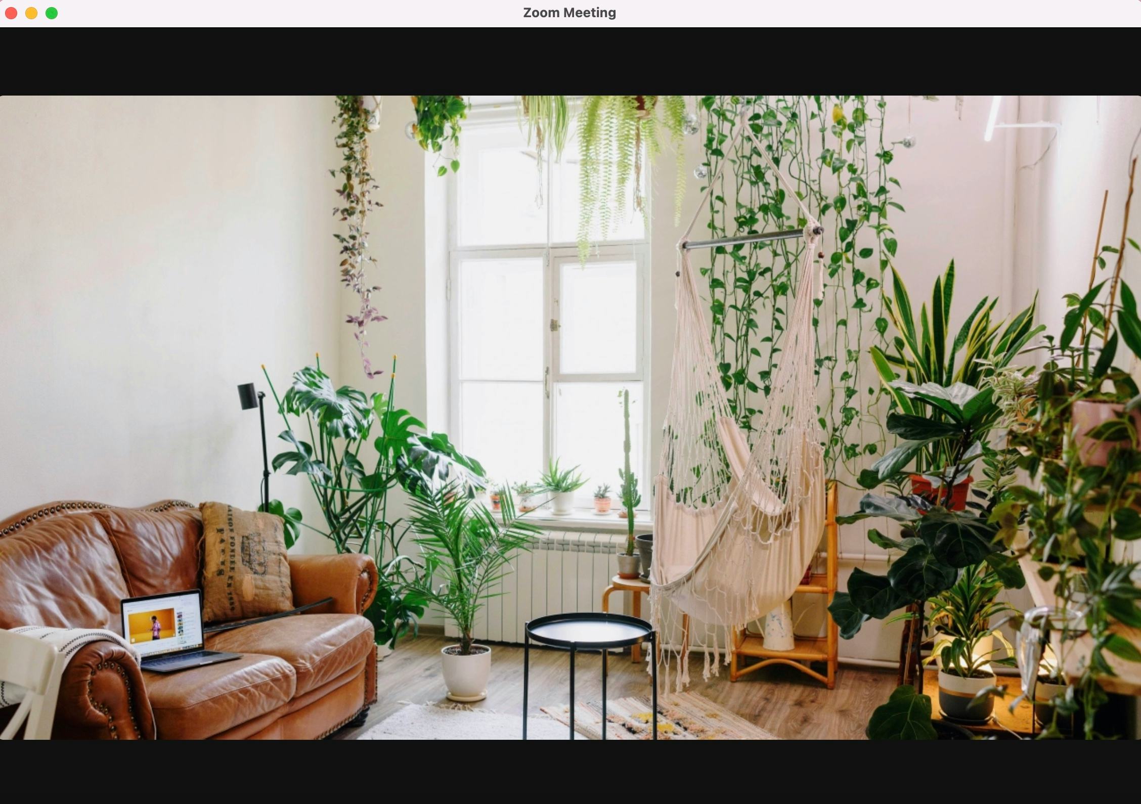 35 Best Zoom Home Backgrounds For Virtual Makeovers