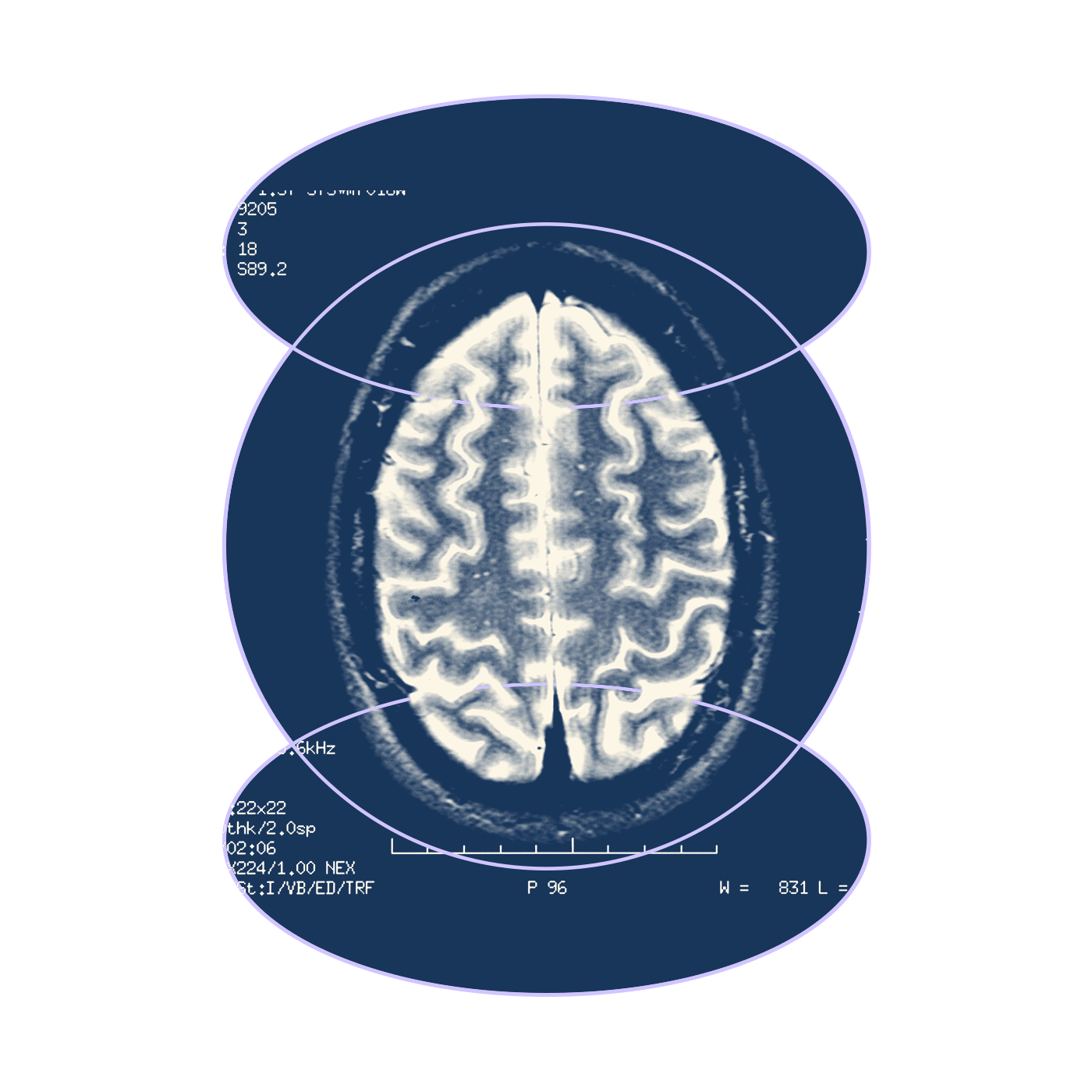 35 Weird Facts About The Human Body And Brain