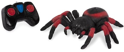 8 Best Remote Control Spiders For Kids— Watch Them Run Around And Climb ...