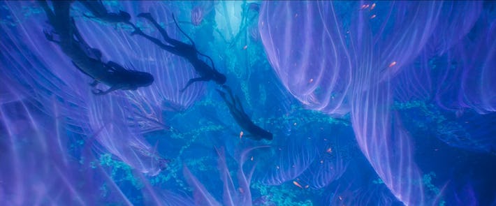 'Avatar 3': Release date, cast, and plot for 'The Seed Bearer'