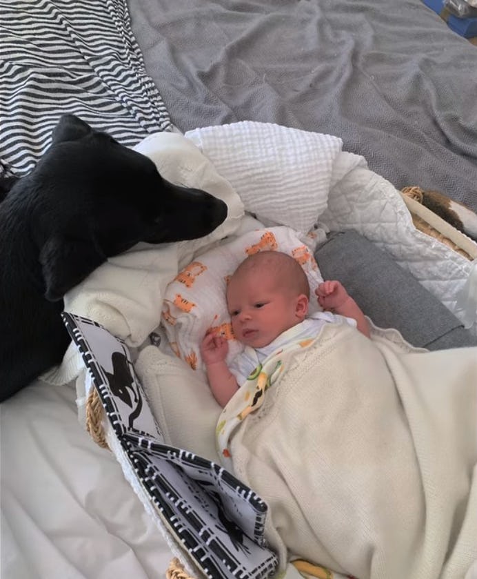 Precious Baby Photos Of Archie & Lilibet Shared In Netflix Docuseries